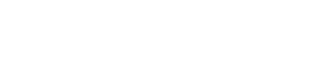 nVet - NanoScoping